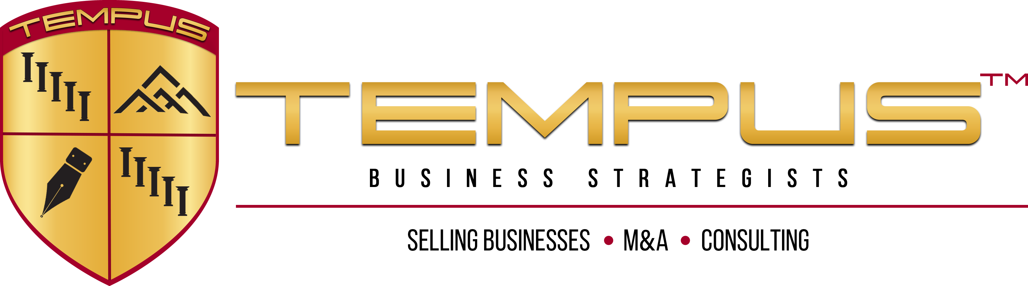 Sell Your Business – Tempus Business Strategists